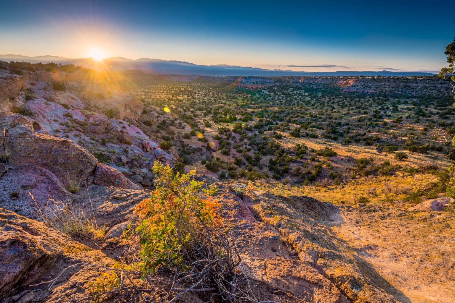New Mexico Infrastructure as a Service® | Sustainability Partners
